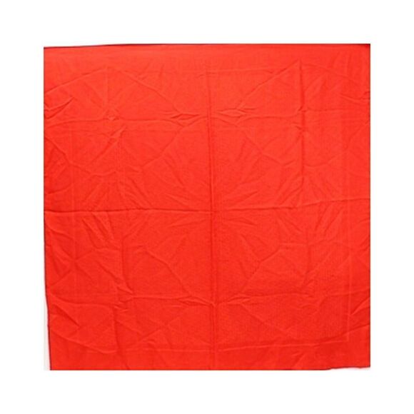Dior | Accessories | Pre Loved Dior Red Silk Scarf Women Scarves Shawls ...